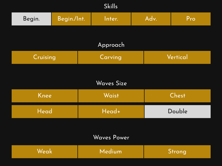 Axle Twin - Modern Twin Fin Shortboard by Axel Lorentz – Axel Lorentz ...